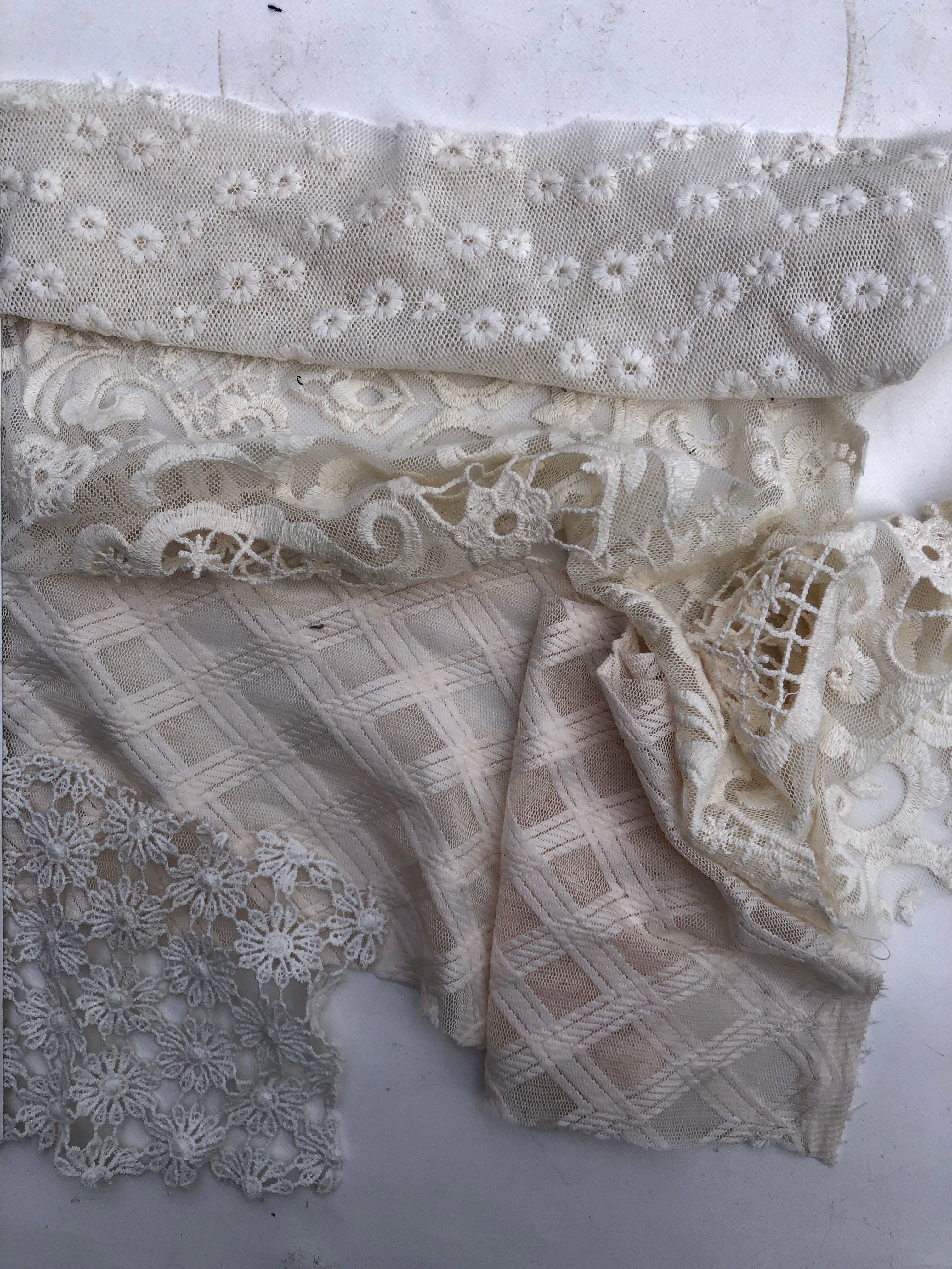Couture Lace, Ivory & Cream – Renee Materials - Digital Material Hub
