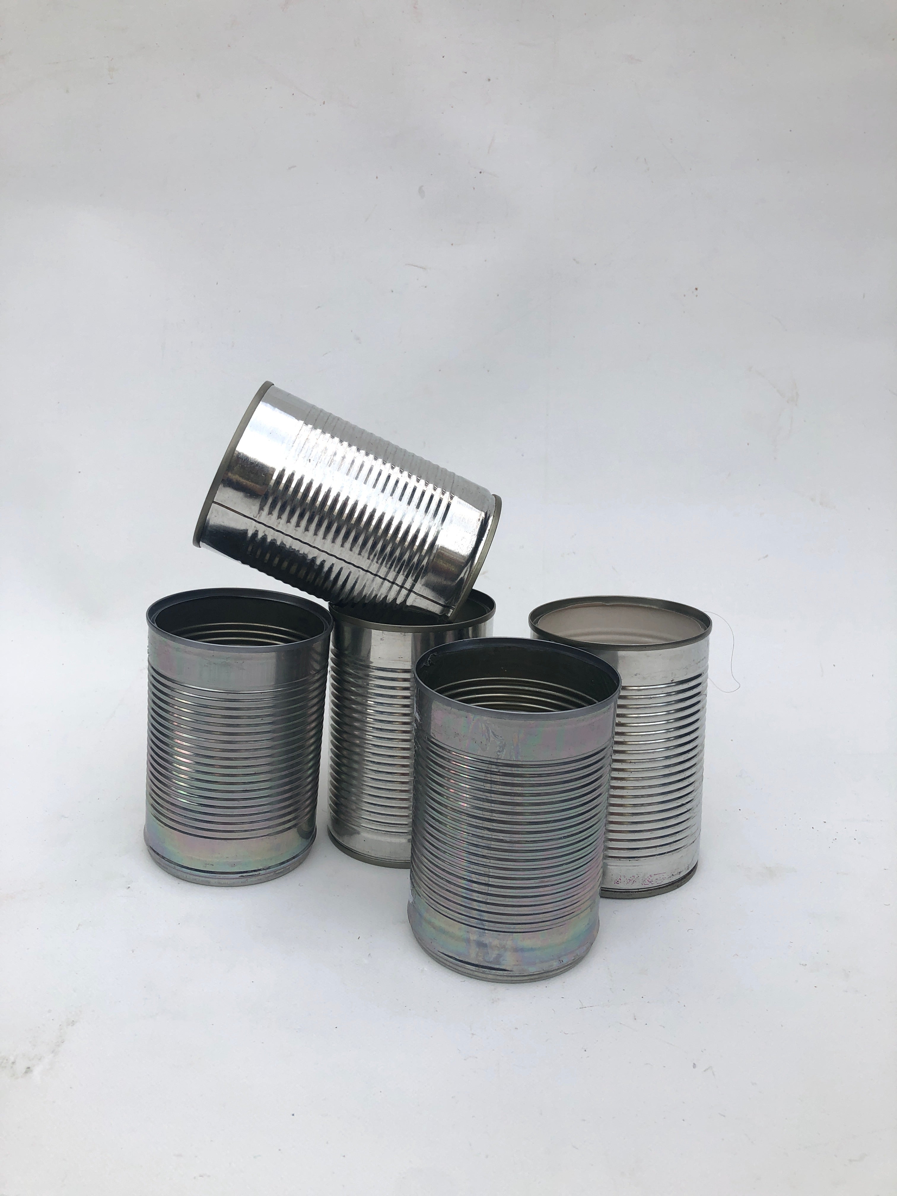 Metal Cans – Renee Materials